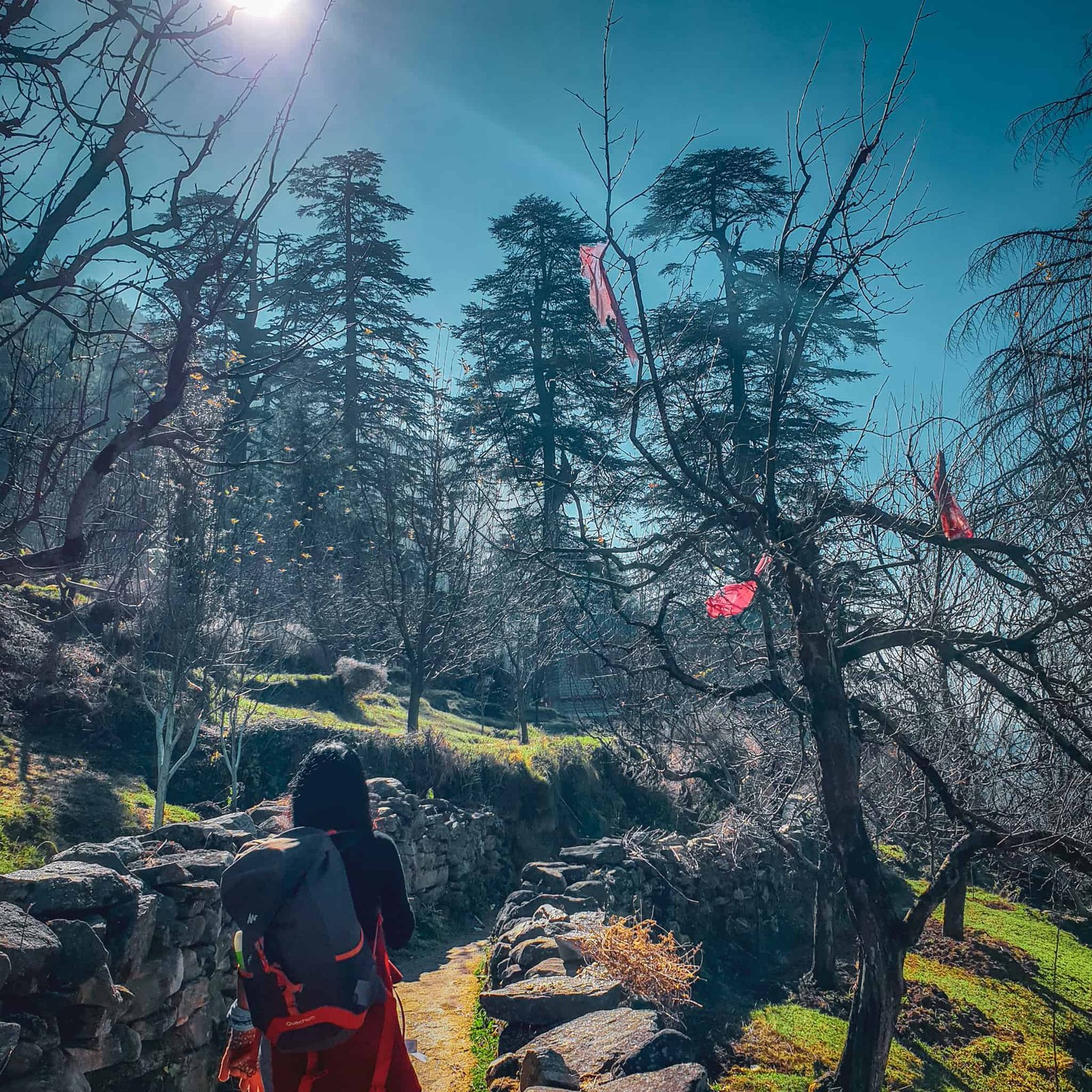 The Secret Trails of Manali: The Hidden Beauty You Missed! – TravelTear